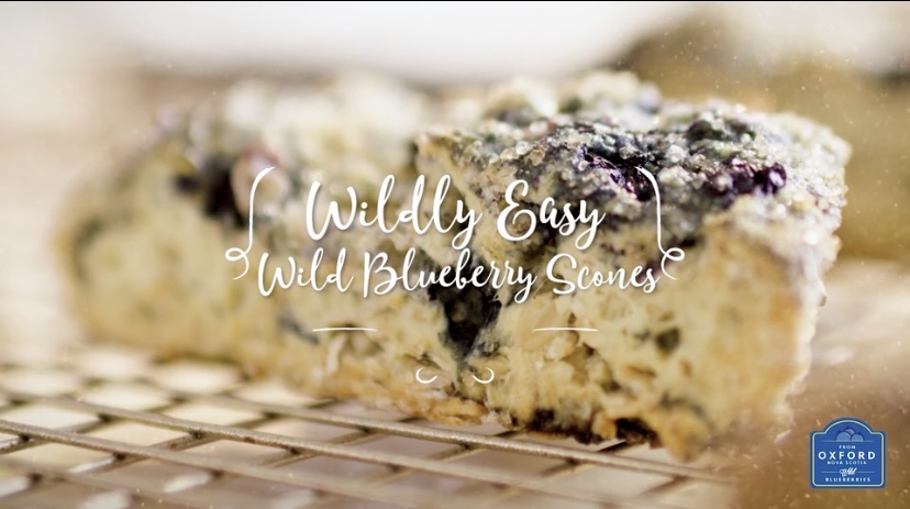 Recipe Development and Content Creation – Kari Svenneby is a food ...